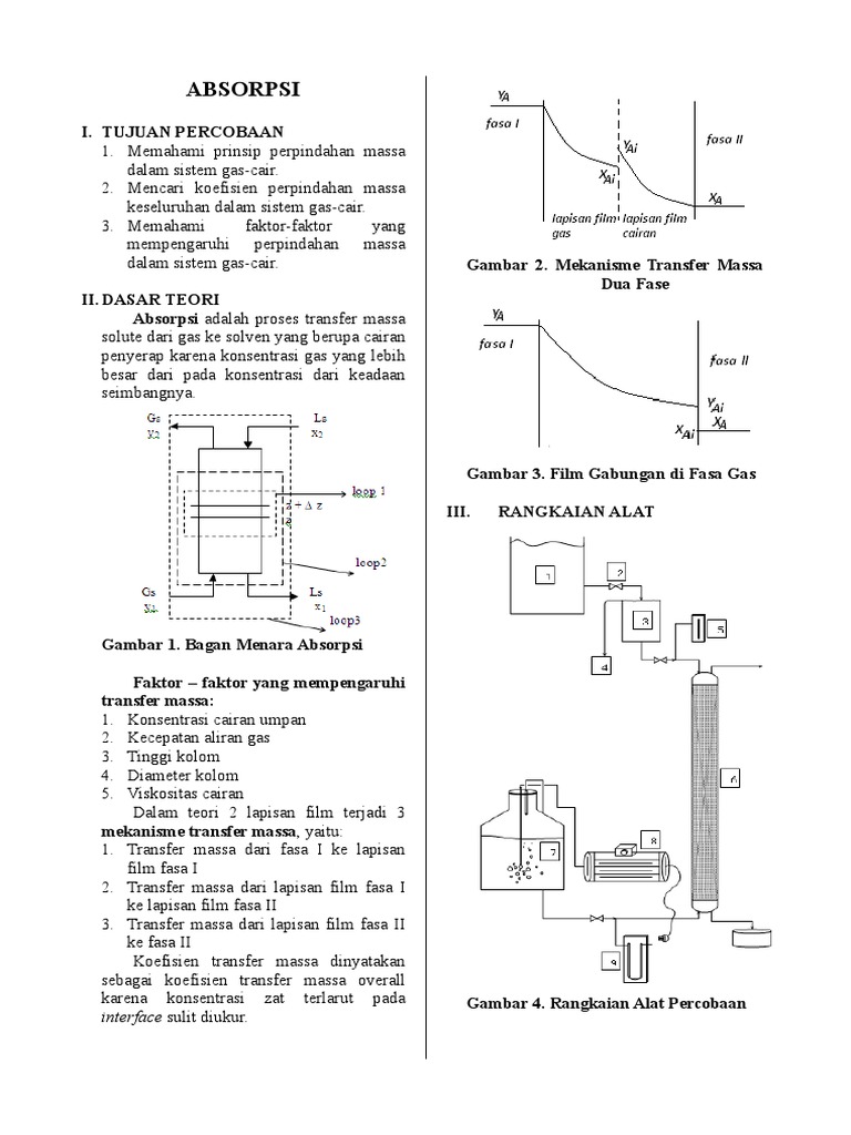 Absorpsi Leaflet | PDF