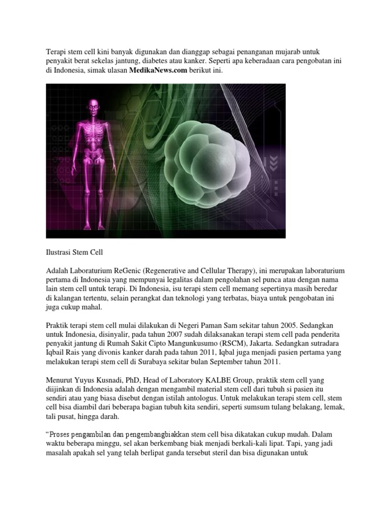 Terapi Stem Cell Kini Banyak Digunakan Dan Dianggap Sebagai Penanganan ...