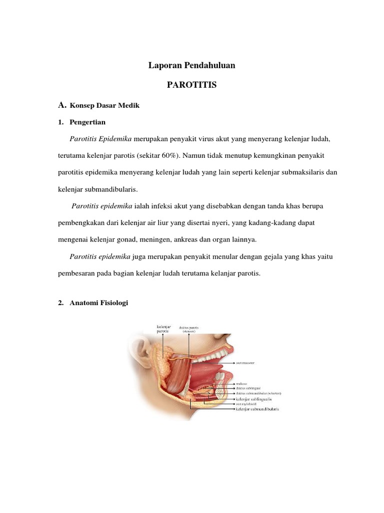 LP Parotitis | PDF