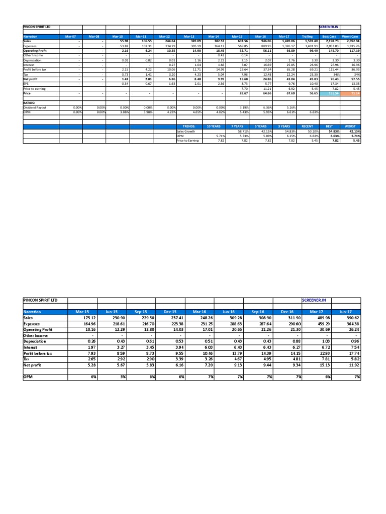 Pincon Spirit | PDF | Equity (Finance) | Expense