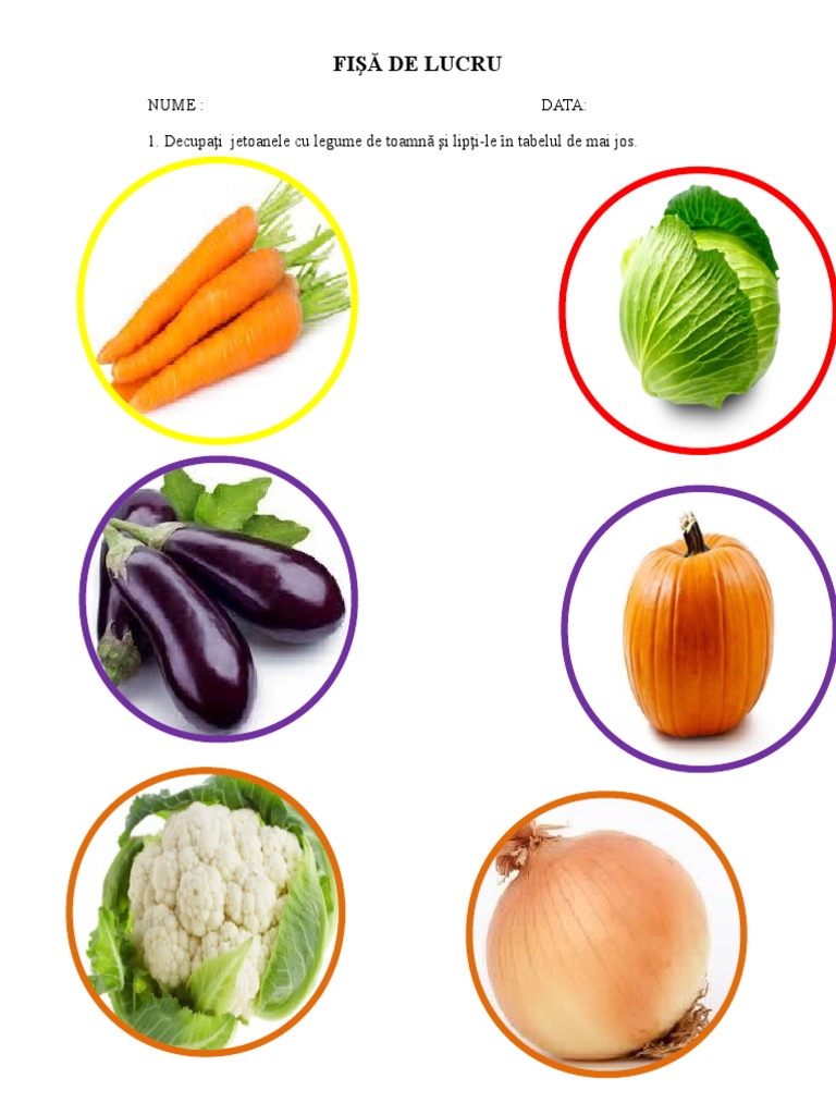 Fisa de Lucru Legume de Toamna