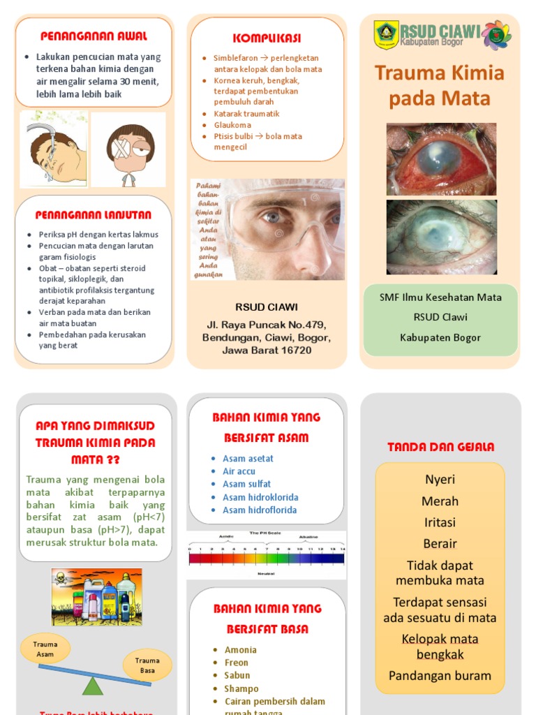 Trauma Kimia Pada Mata | PDF