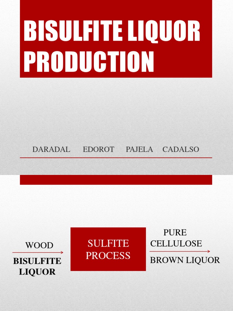 Bisulfite Liquor Production: Daradal Edorot Pajela Cadalso | PDF ...