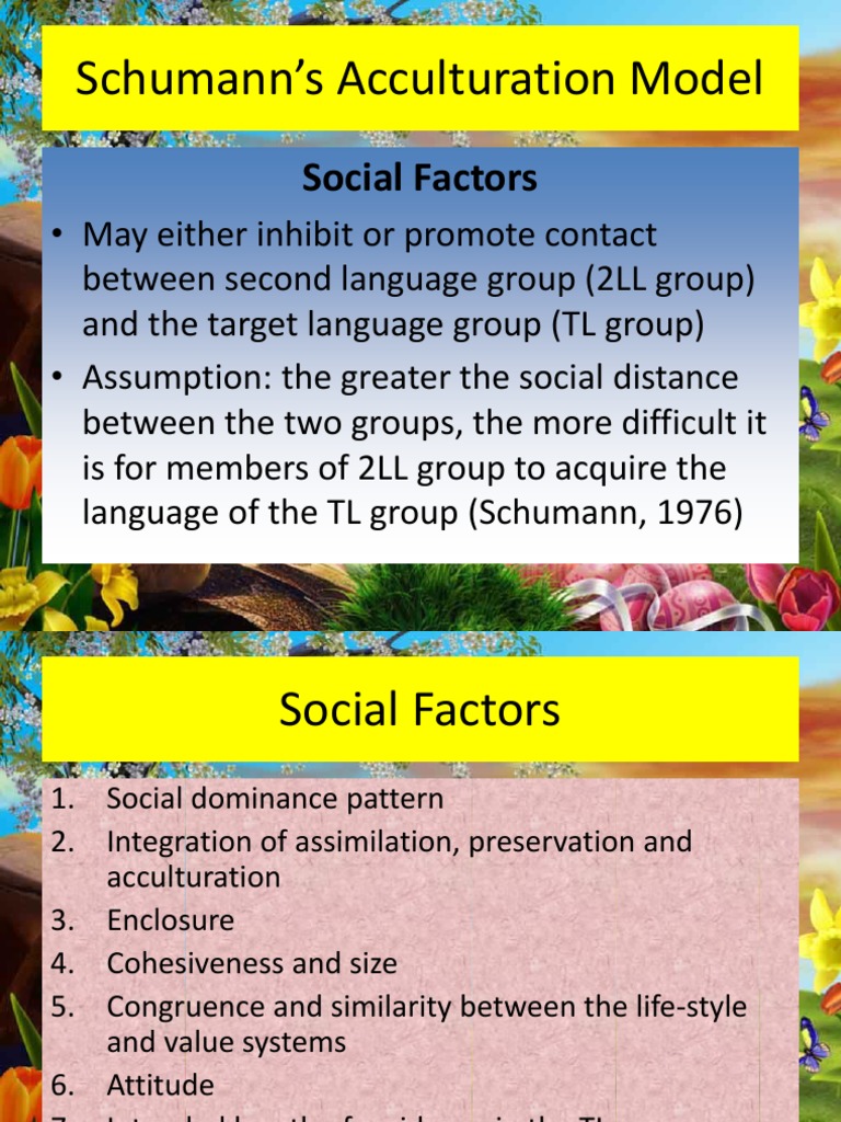 Schumann S Model | PDF | Neuroscience | Psychological Concepts