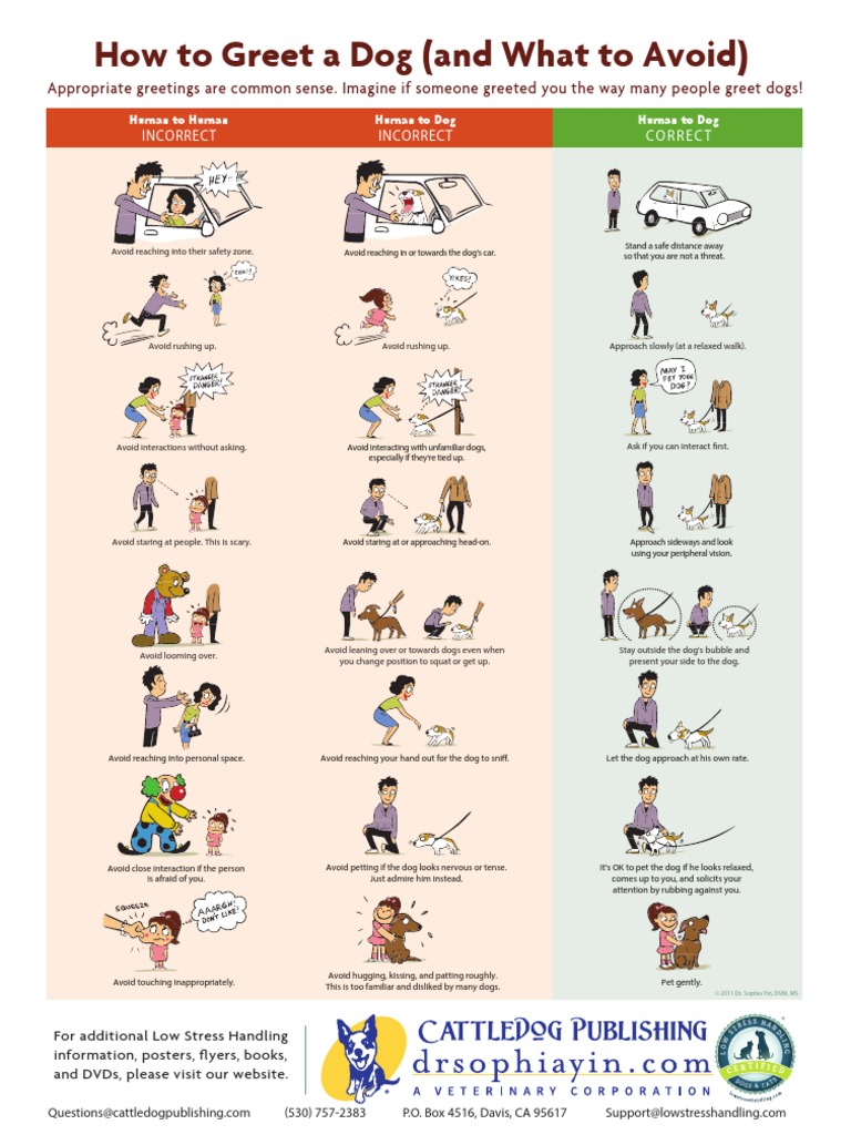 How To Greet A Dog Poster | PDF