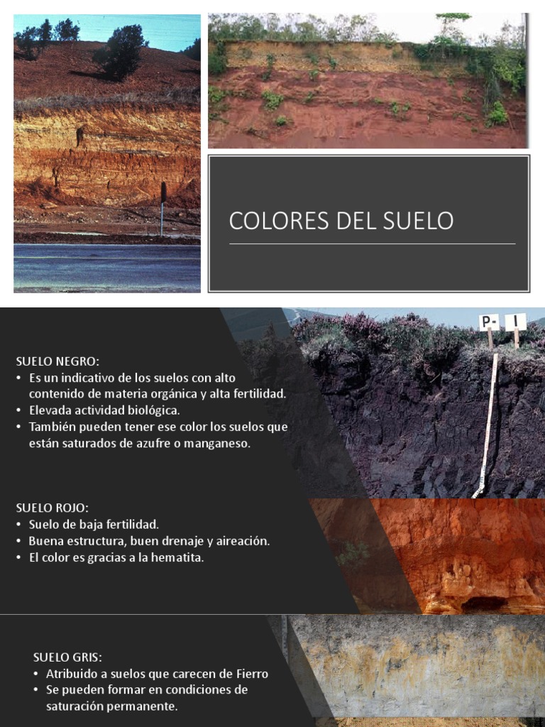 Colores Del Suelo | PDF | Hogar, jardinería y bricolaje