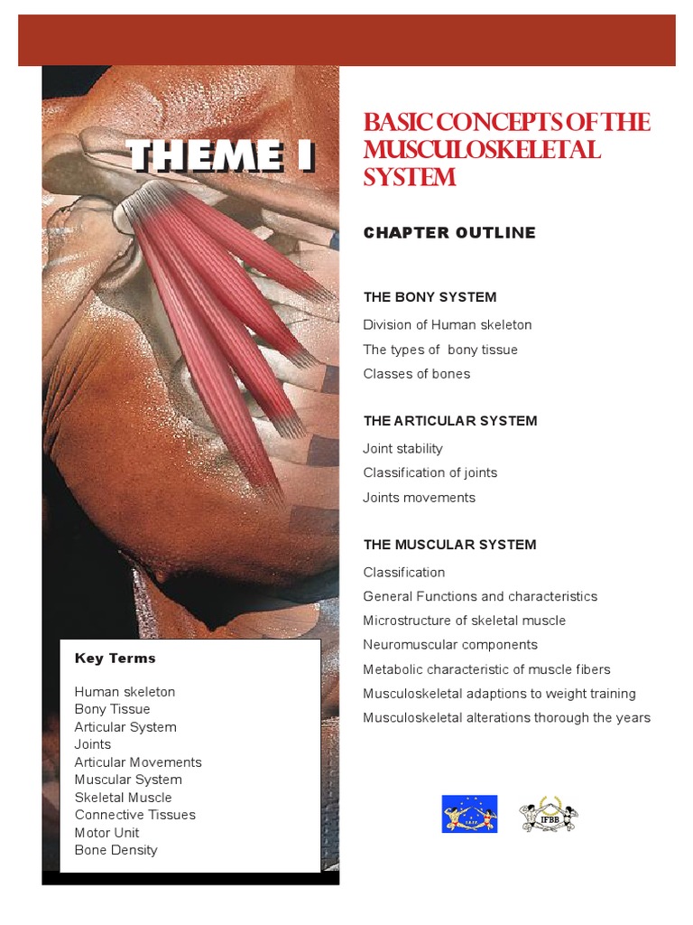 Basic Concepts of The Musculoskeletal System | PDF | Anatomical Terms ...