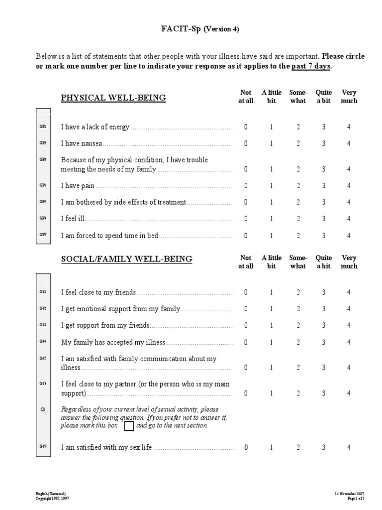 Facit-sp Eng Final Ver4 16nov07 | Faith | Psychology & Cognitive Science