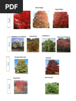 Promarker Colour Chart Template PDF | PDF | Blue | Color