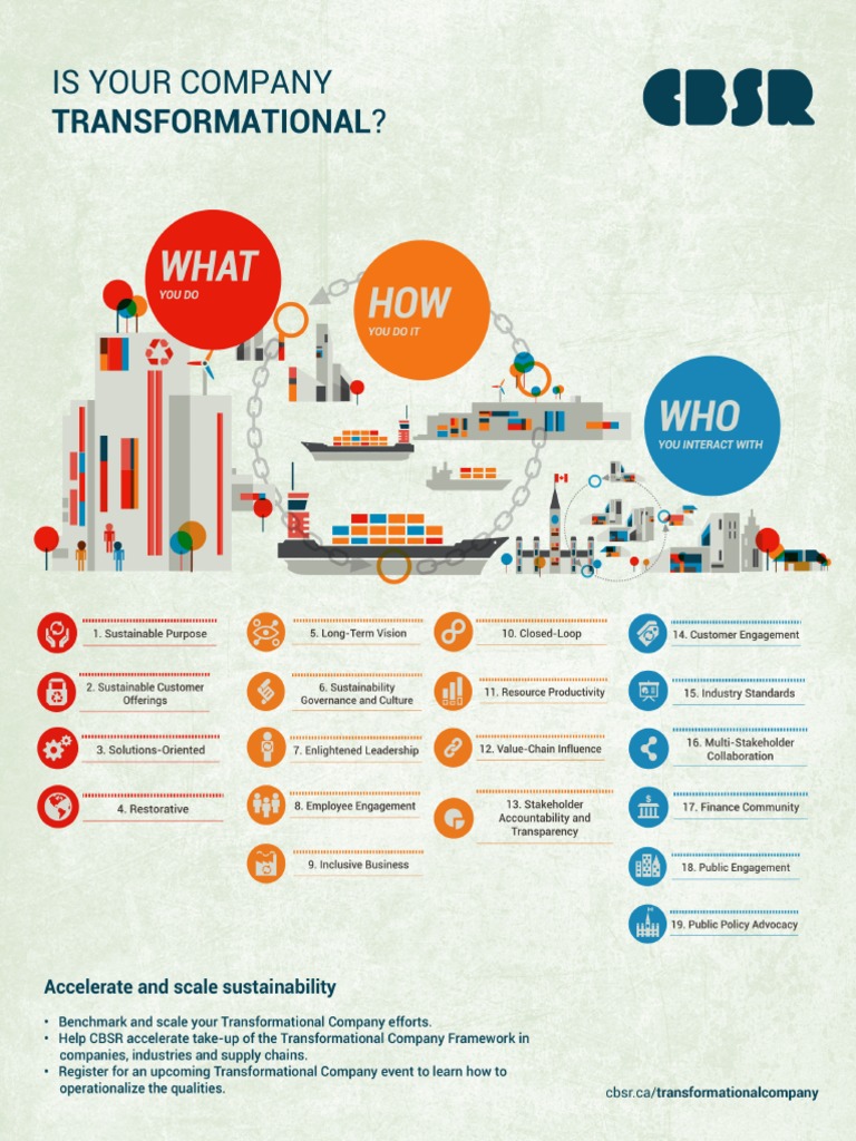 Transformational Company Guide | PDF | Sustainability | Strategic ...