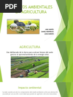 Definicion Vegetación Riparia | PDF | Zona ribereña | Inundar
