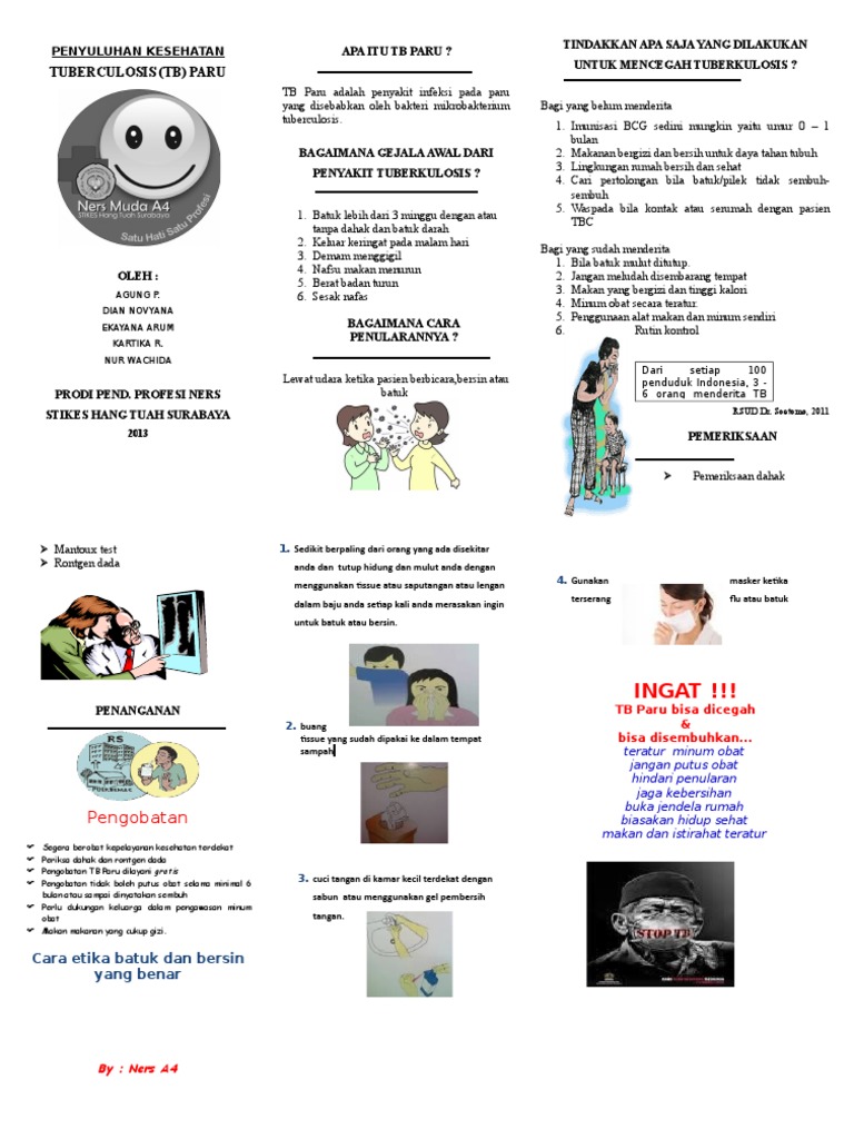 Leaflet Penyuluhan TB Paru | PDF