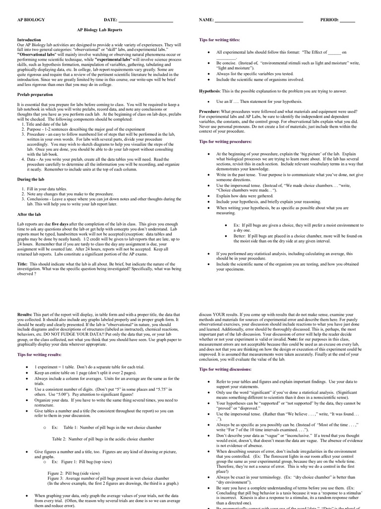 Lab Write Ups | PDF