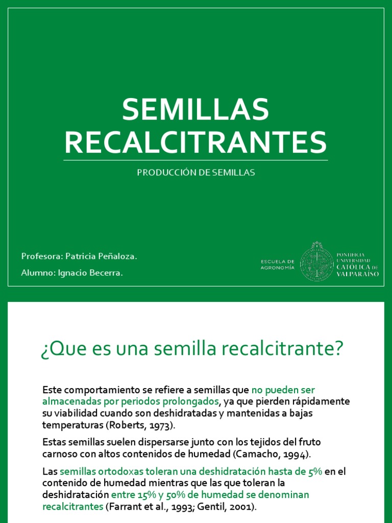 Semillas Recalcitrantes: Definición y Ejemplos | PDF | Germinación ...