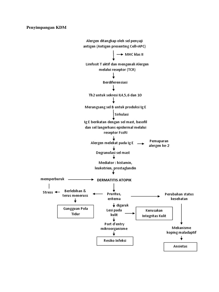 PKDM Dermatitis Atopik | PDF