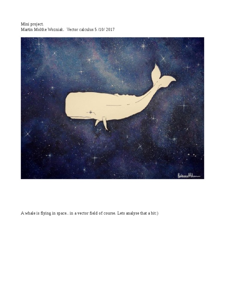 Martin, Vector, Whale | PDF | Integral | Calculus