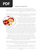 Cuento Pulpito Moradito | PDF