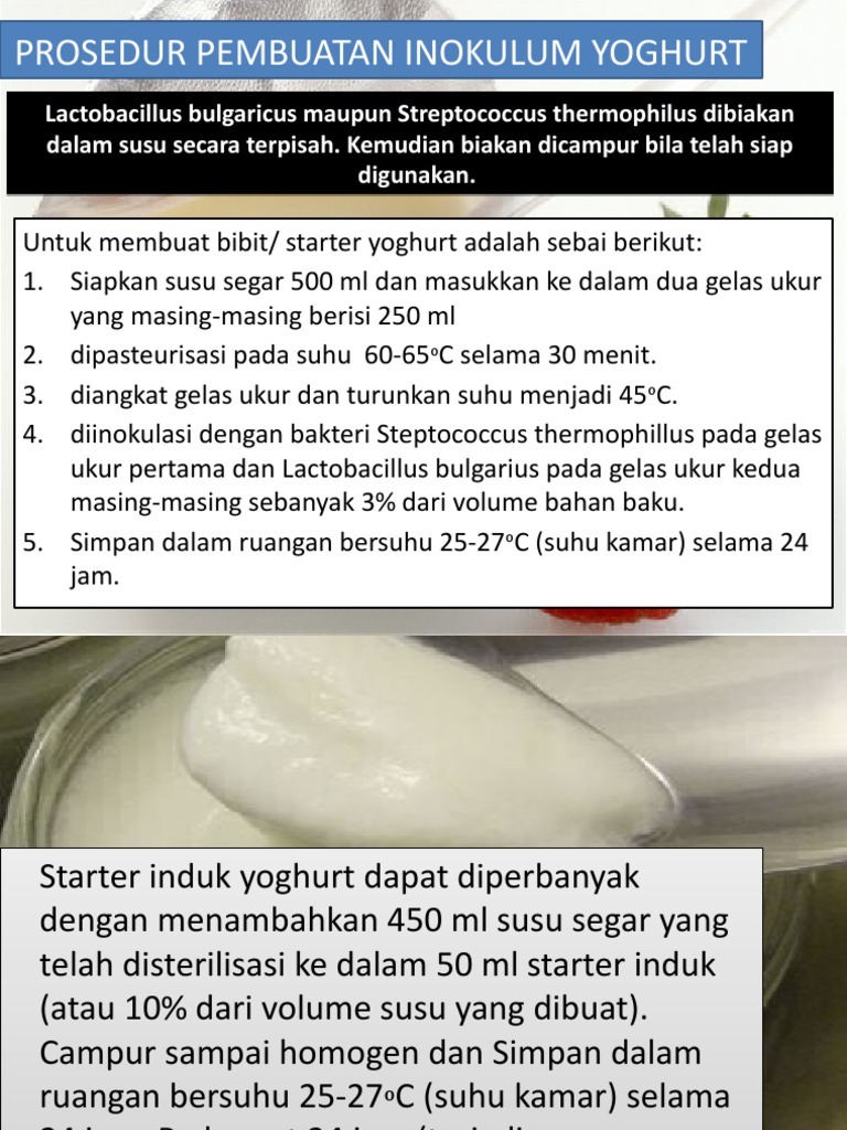 Prosedur Pembuatan Inokulum Yogurt | PDF