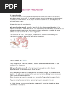 Desarrollo Embrionario de Los Insectos | PDF | Insectos | Huevo