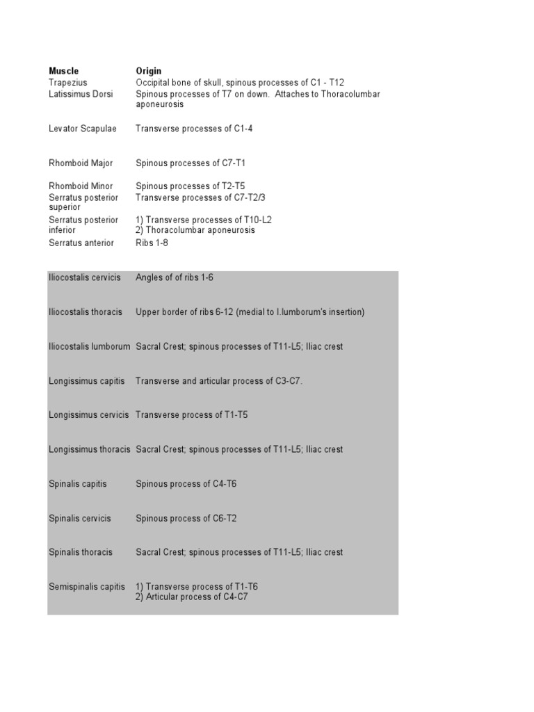 Anatomy Chart2 | PDF | Thumb | Anatomical Terms Of Motion