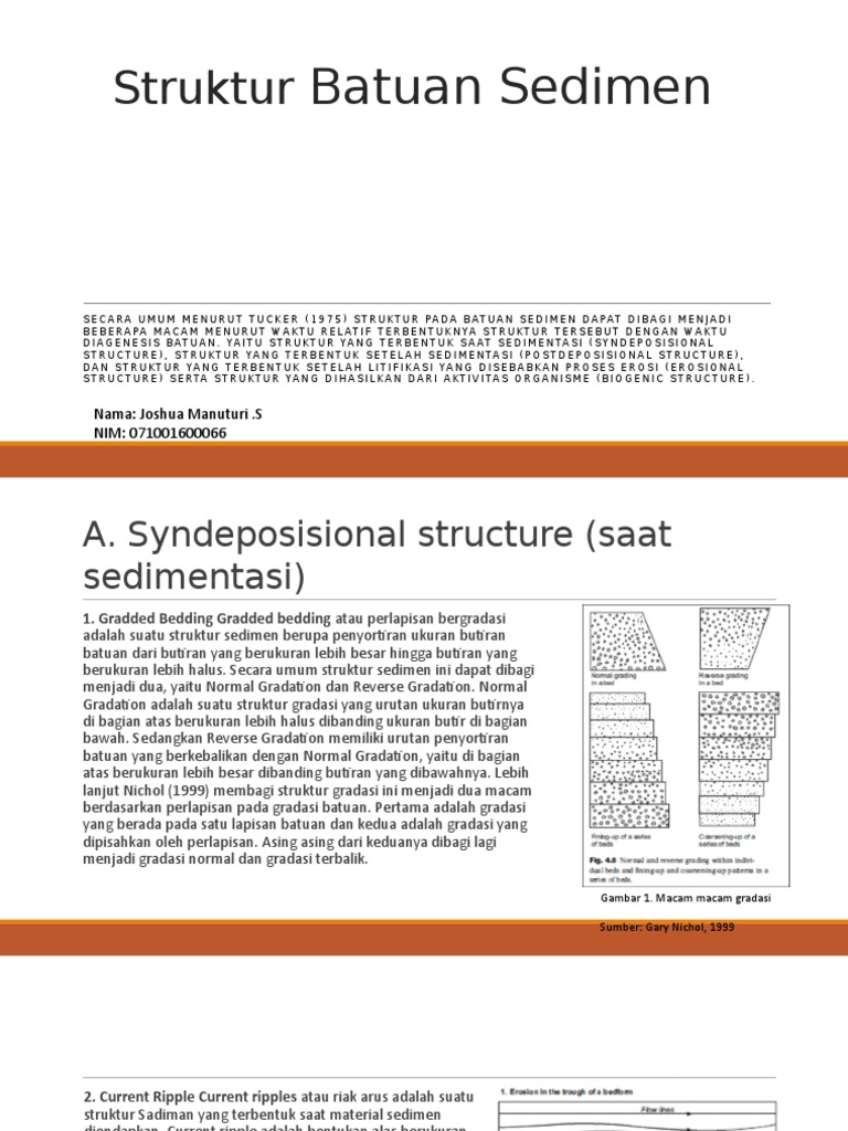Struktur Batuan Sedimen | PDF