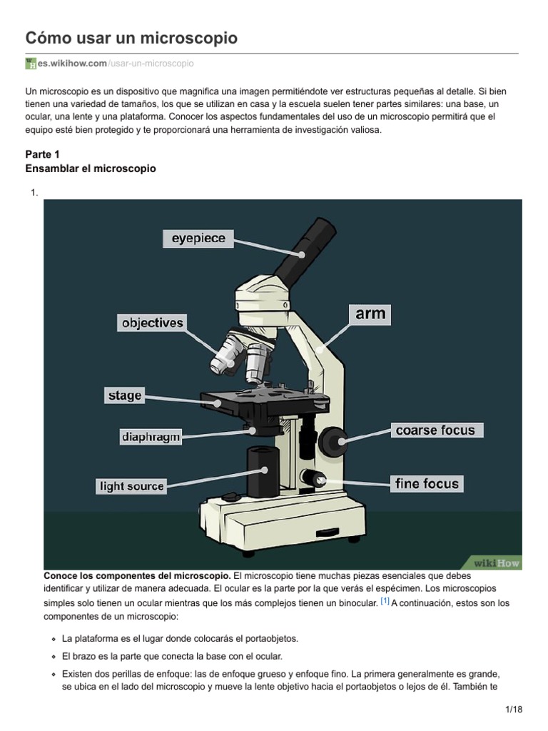 Guía para usar un microscopio óptico | PDF | Microscopio | Ligero