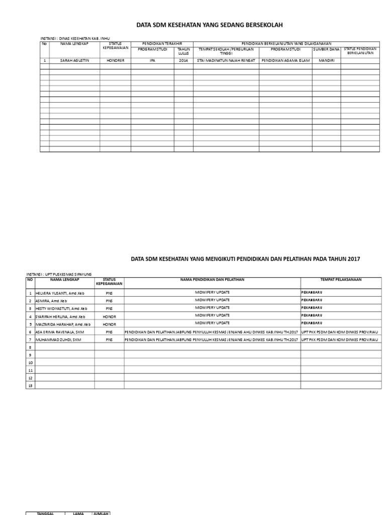 Formulir Data SDMK Untuk PUSK. Sipayung | PDF