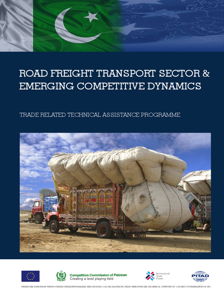 Road Freight Transport Sector and Emerging Competitive Dynamics Final ...