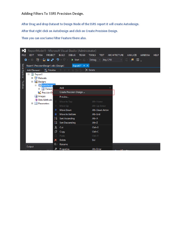 SSRS Precision Design Filter Setup | PDF