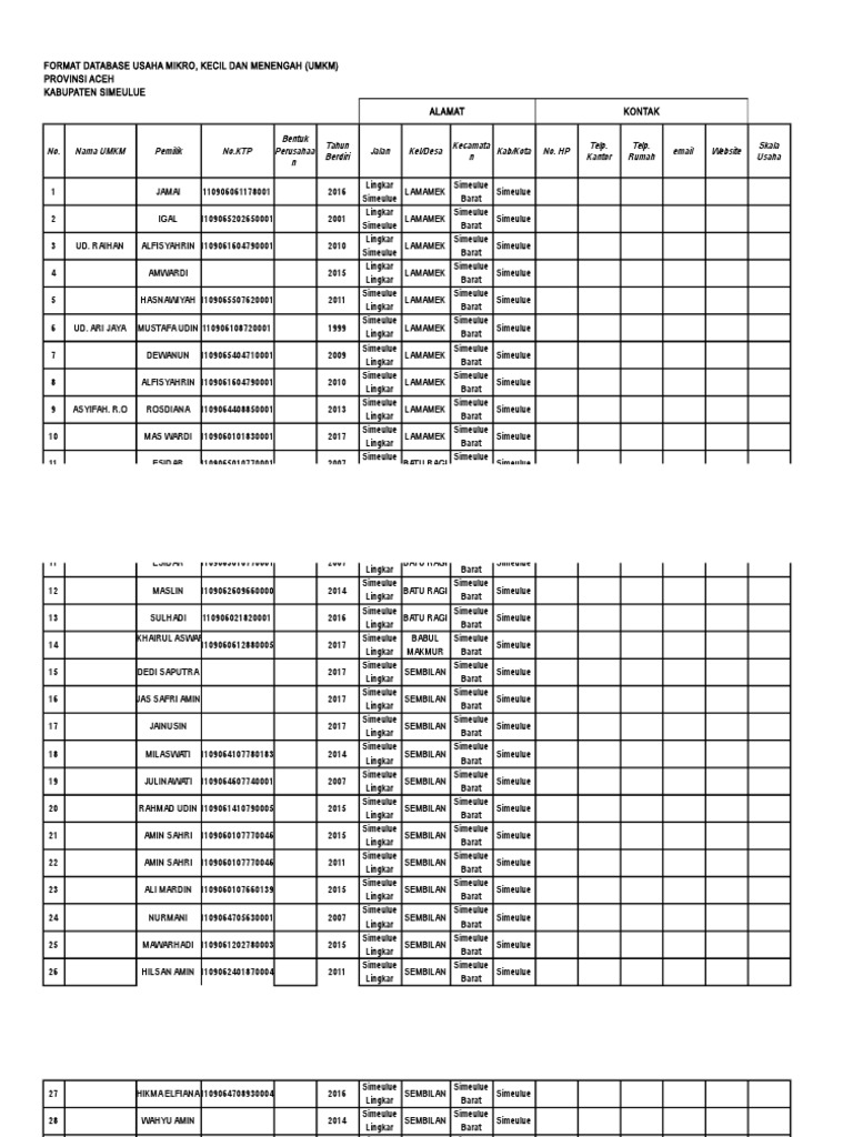 Format Database Umkm Full | PDF
