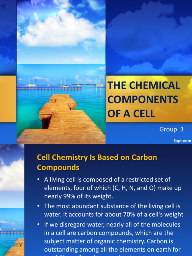The Chemical of A Cell | PDF | Nucleotides | Carbohydrates