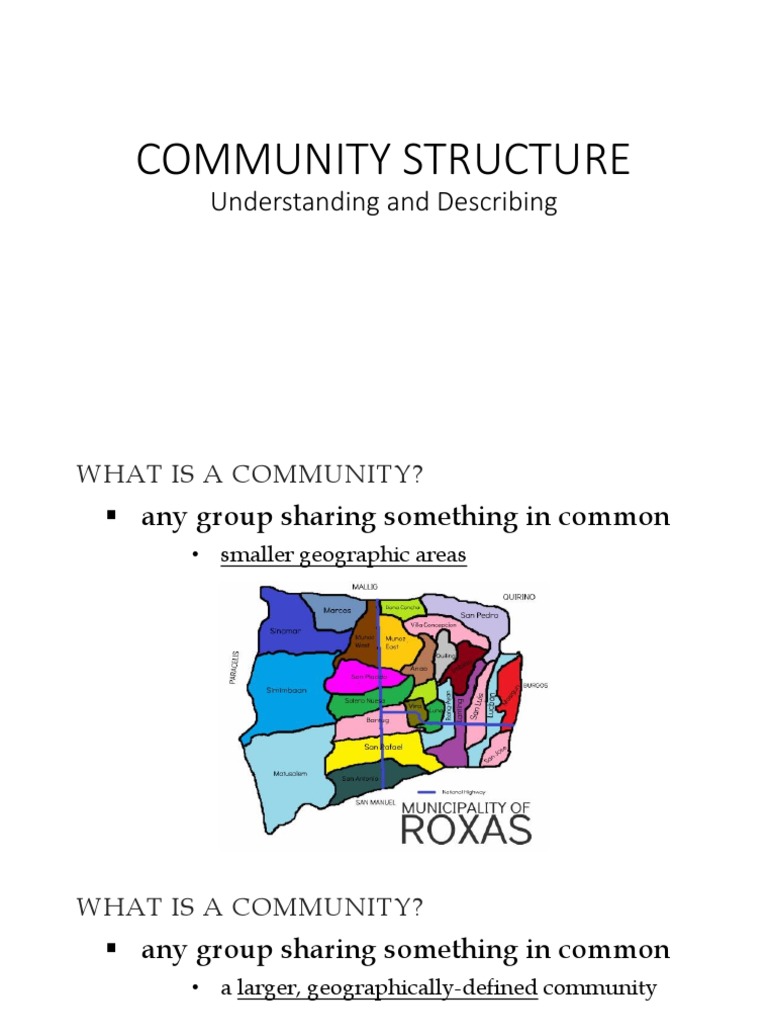 Comm. Structure | PDF | Survey Methodology | Community