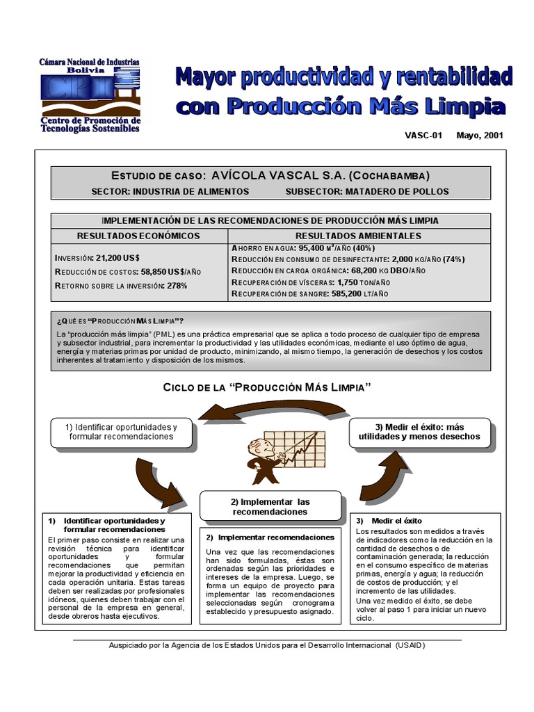 Anexo 2. Avícola VASCAL S.A PDF | PDF