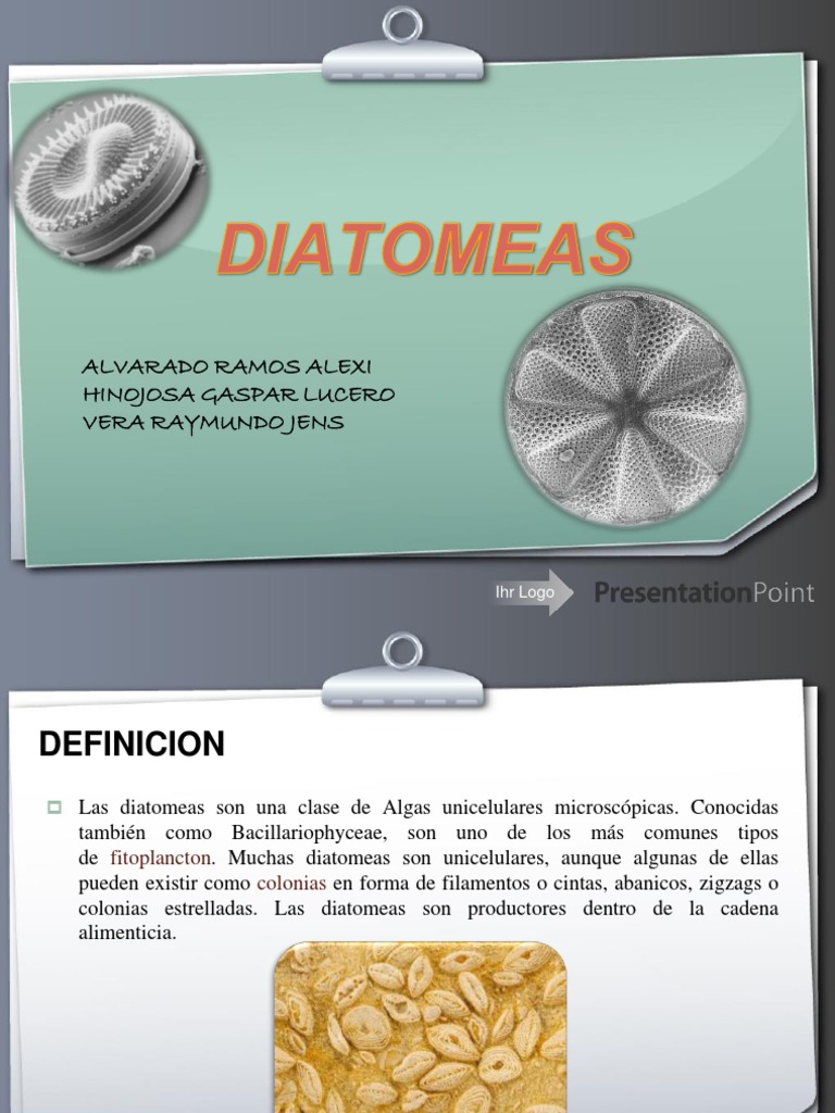 Definición y características de diatomeas | PDF | Organismos | Naturaleza