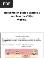 Bacterias Mesófilas | PDF | Microorganismo | Alimentos