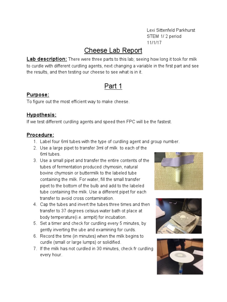 Cheese Lab Report | PDF | Nature