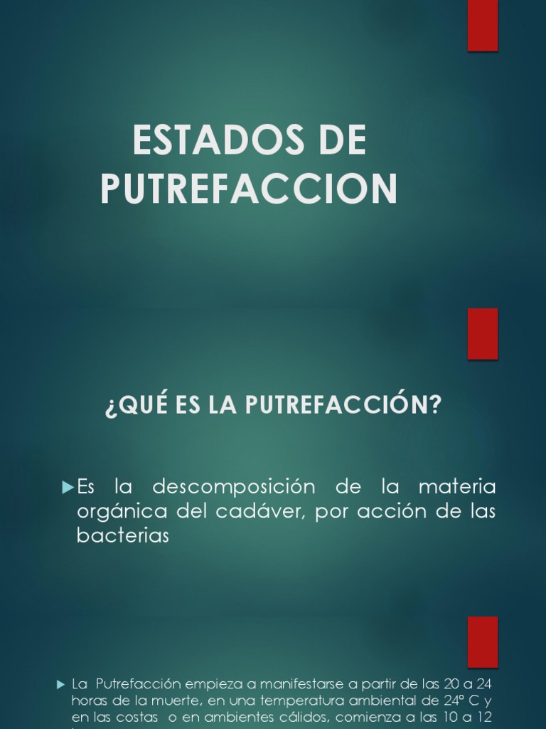 Estados y fases de la putrefacción | PDF | Descomposición | Salud y ...