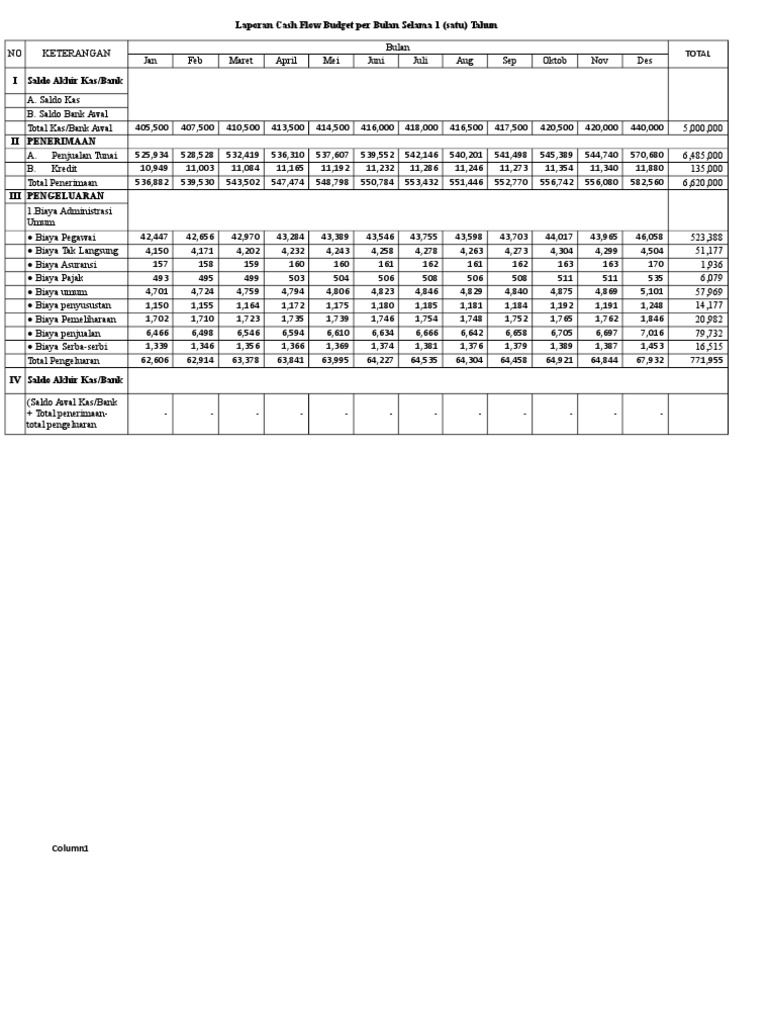 Contoh Format Cash Flow 1 Tahun | PDF