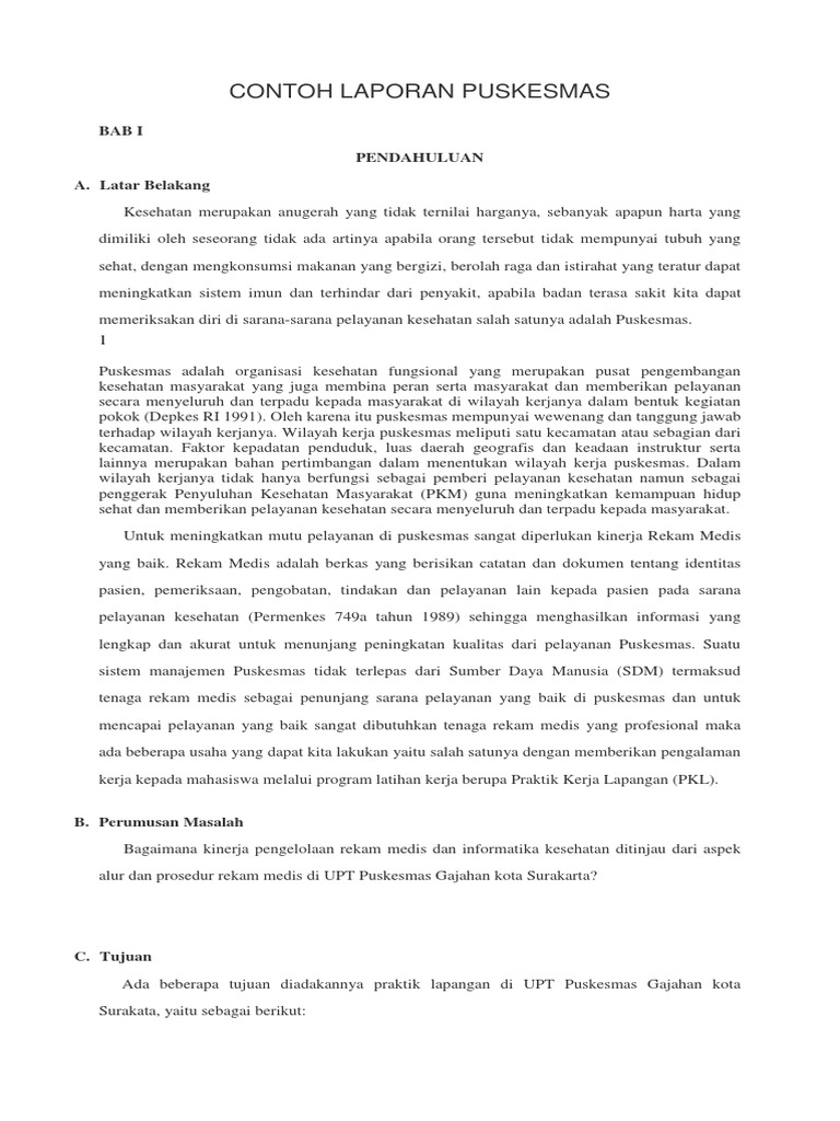 Contoh Laporan Puskesmas | PDF | Sains & Matematika