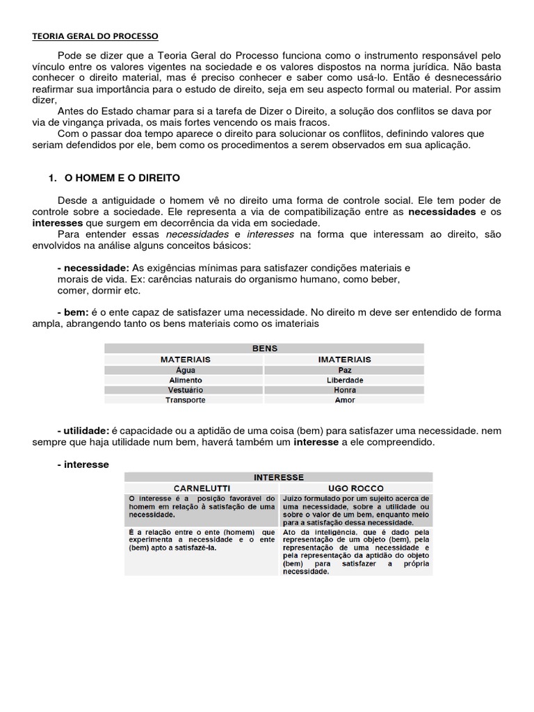 Teoria Geral Do Processo Resumo Pdf Jurisdição Juiz