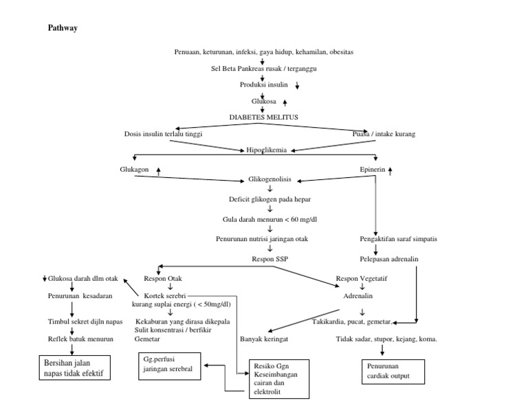 Pathway Hipoglikemia | PDF