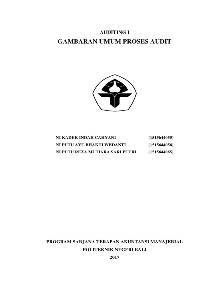 New AUDITING I Gambaran Umum Proses Audit | PDF