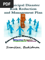 DRRM-H Planning With Sample | PDF