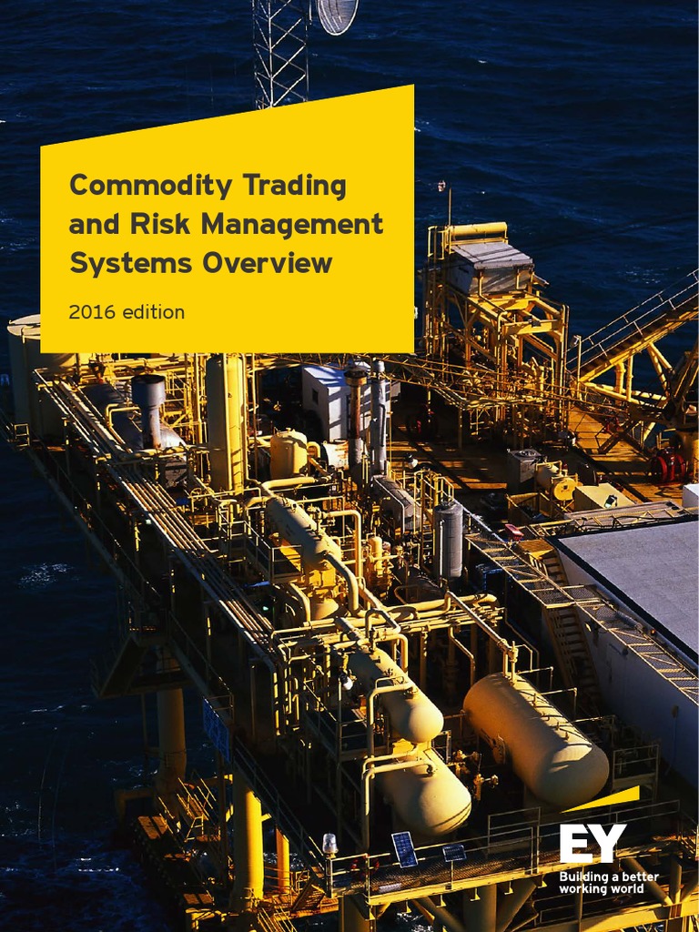 ey-ctrm-systems-overview-2016.pdf | Analytics | Risk Management