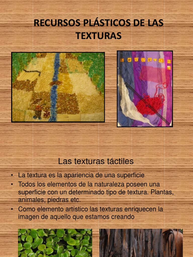 Tipos de Texturas en el Arte y Naturaleza | PDF | Percepción visual ...