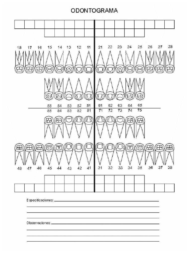 Odontograma | PDF