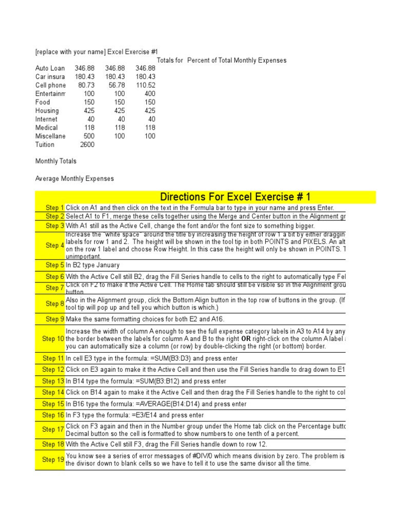 Excel Exercise 1 | PDF | Computing | Software