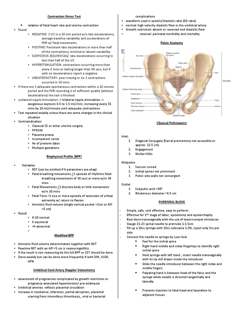 Understanding the Contraction Stress Test: Evaluating Fetal Well-Being ...