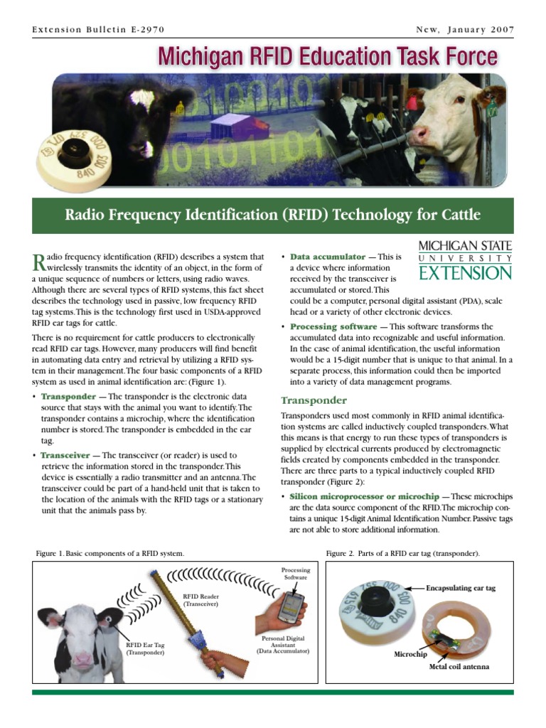 RFID Solutions for Cattle Management | PDF | Radio Frequency ...