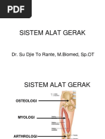 Anatomi Trunkus Manusia | PDF
